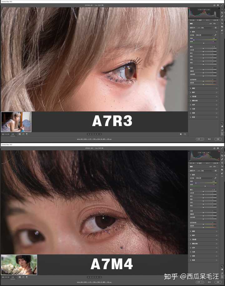 主拍照，偏向拍人像，但不拍视频，索尼 a7r3 和索尼 a7m4 怎么选？ - 知乎