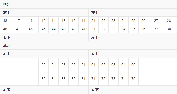 牙齿的象限和编号是怎样的？ - 知乎