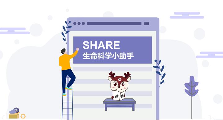 MBC-MG132试用分享 - 知乎