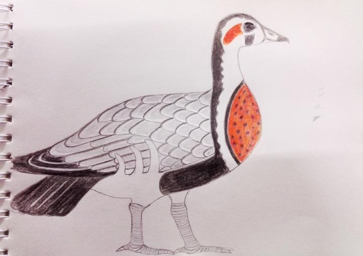 【天地之间】-古埃及壁画鸟类初探（一） - 知乎