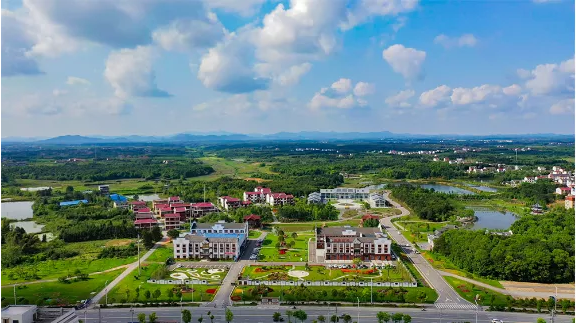 遇见美丽江西丨走进金溪，看书香锦绣 - 知乎