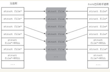 解析Linux进程的创建函数fork()及其fork内核实现 - 知乎