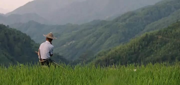 谈谈最近很火的OD/TD/LD - 知乎