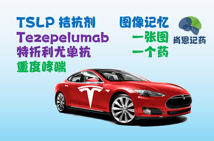 如何记住所有FDA批准生物药？ | TSLP 拮抗剂 | Tezepelumab 特折利尤单抗 | 治疗哮喘 - 知乎