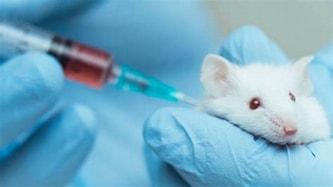 动物造模 | 青光眼模型的制备 - 知乎