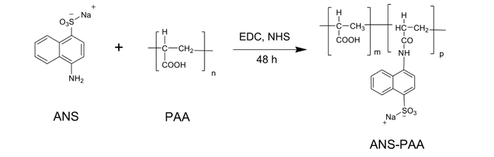 负电性/PH敏感性/聚丙烯酸标记荧光物质聚合物4,1–ANS-PAA/聚丙烯酸偶联氨基-1-萘磺酸钠四水合物 - 知乎