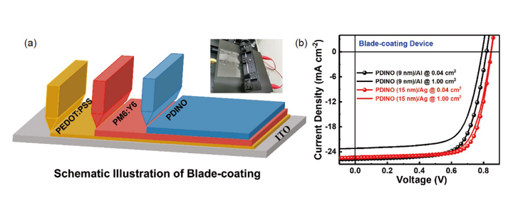 南昌大学陈义旺&谈利承团队SCC:界面调节策略助力二元有机光伏电池具有高效率和稳定性 - 知乎